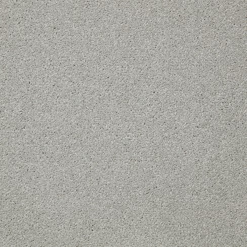 Primo Plus Carpet – The Carpet Shop