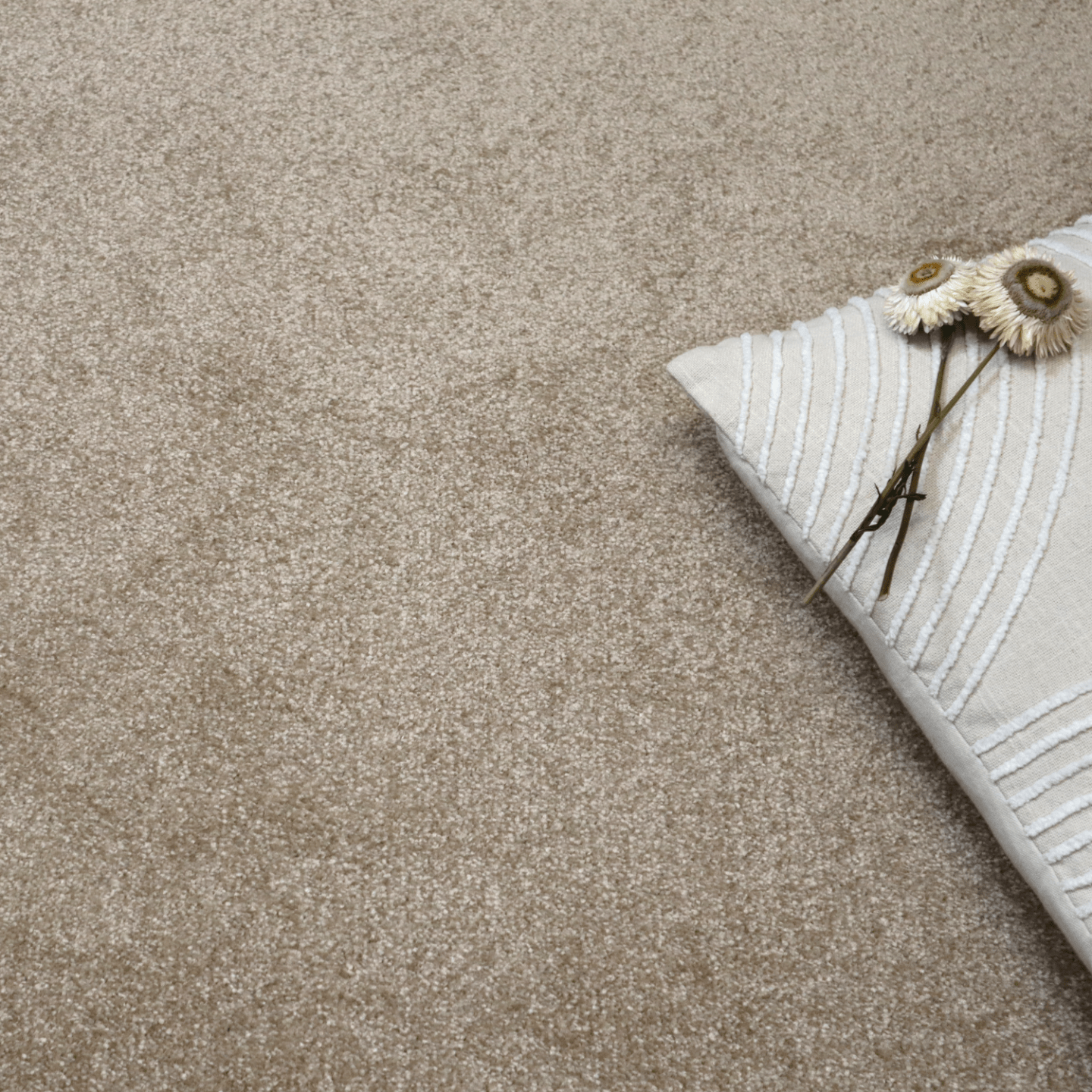 Royal Saxony Carpet – The Carpet Shop